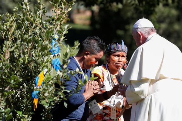 Listen and Discern, Pope Tells Amazon Synod - Maryknoll Magazine