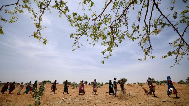 Raging Conflicts Drive Migration and Displacement