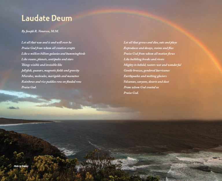Laudate Deum - Maryknoll Magazine