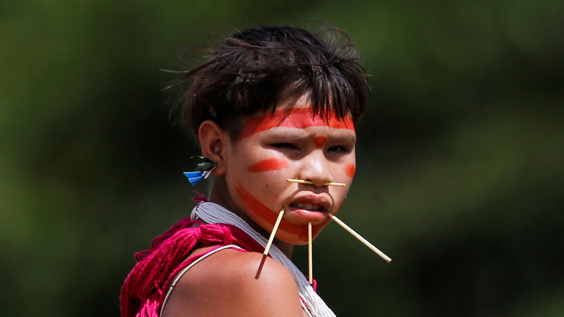Brazil's Indigenous Communities Still Endangered, Report Says ...
